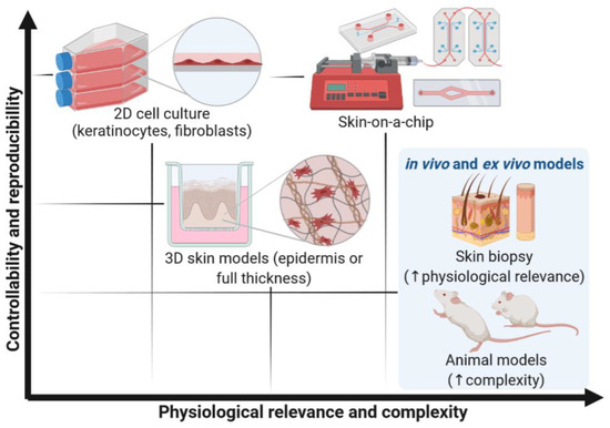 Pharmaceutics | Free Full-Text | Skin-on-a-Chip Technology ...