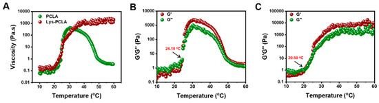 Pharmaceutics | Free Full-Text | Injectable Hydrogel Based on Protein ...