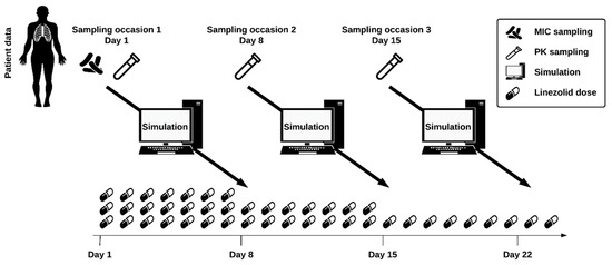 Model-Informed Precision Dosing of Linezolid in Patients with Drug ...