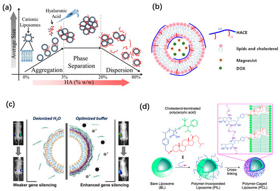 Polymer-Modified Liposomes for Drug Delivery: From Fundamentals to ...