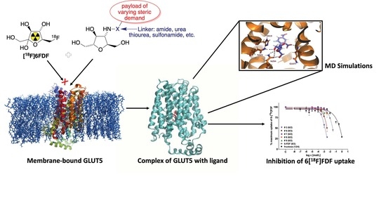 Pharmaceutics | Free Full-Text | Towards Selective Binding to the GLUT5 ...