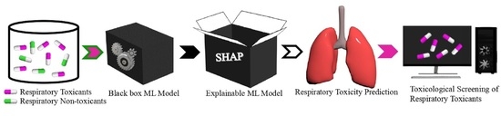 Pharmaceutics | Free Full-Text | An Explainable Supervised Machine ...