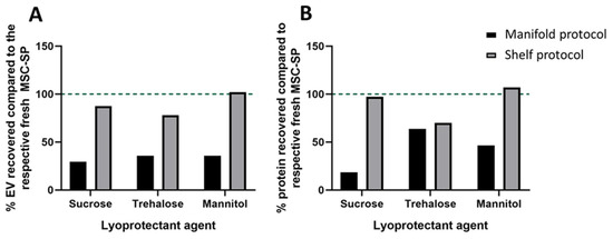 Development of a Lyophilized Off-the-Shelf Mesenchymal Stem Cell ...