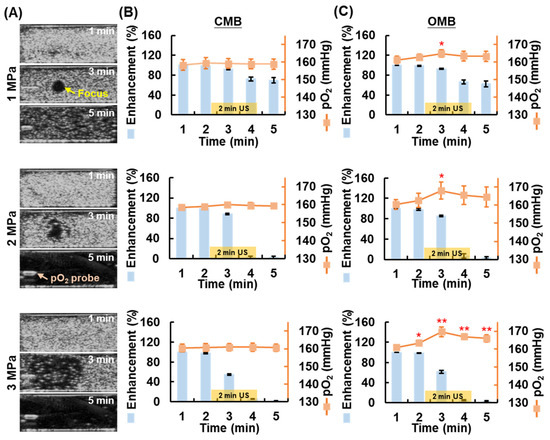Overcoming Hypoxia-Induced Drug Resistance via Promotion of Drug Uptake ...