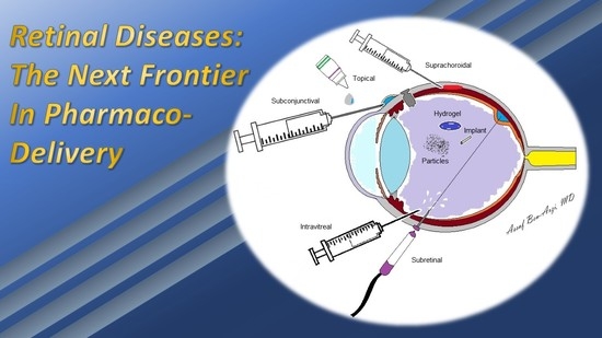 Pharmaceutics | Free Full-Text | Retinal Diseases: The Next Frontier in ...