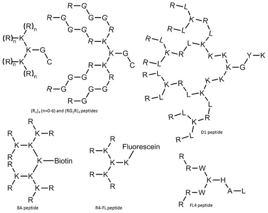 Redesigning of Cell-Penetrating Peptides to Improve Their Efficacy as a ...