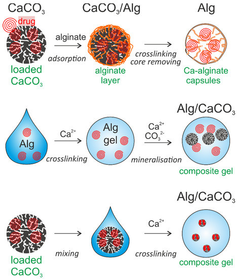Hard, Soft, and Hard-and-Soft Drug Delivery Carriers Based on CaCO3 and ...
