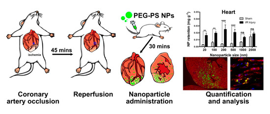 Nanocarrier-Based Targeted Therapies for Myocardial Infarction