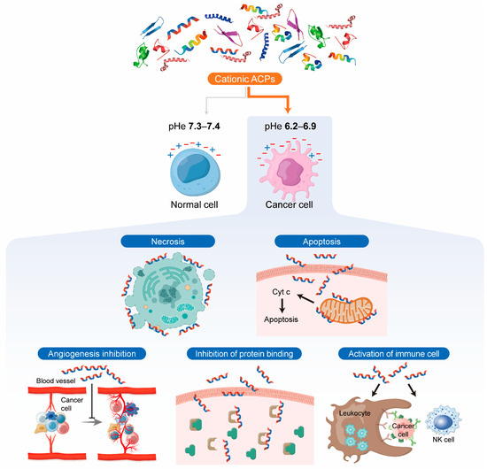 Pharmaceutics | Free Full-Text | Development of Anticancer Peptides ...