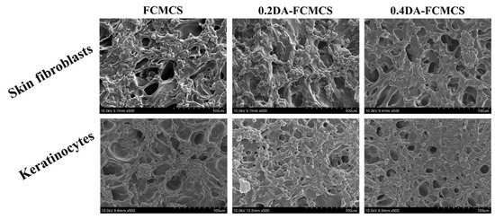 Pharmaceutics | Free Full-Text | Tissue Adhesive, Self-Healing ...