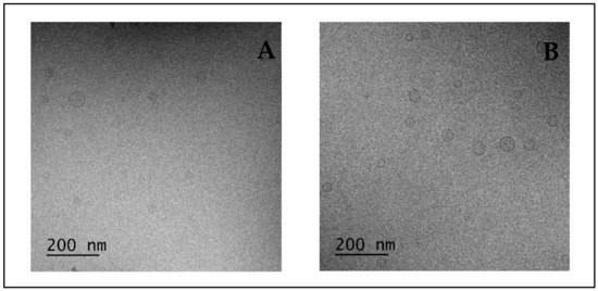 Formulation and Evaluation of SNEDDS Loaded with Original Lipophenol ...
