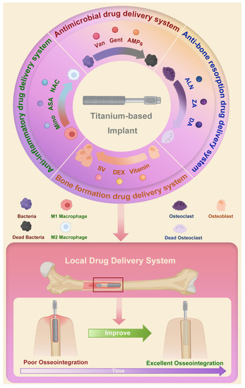 Construction of Local Drug Delivery System on Titanium-Based Implants ...
