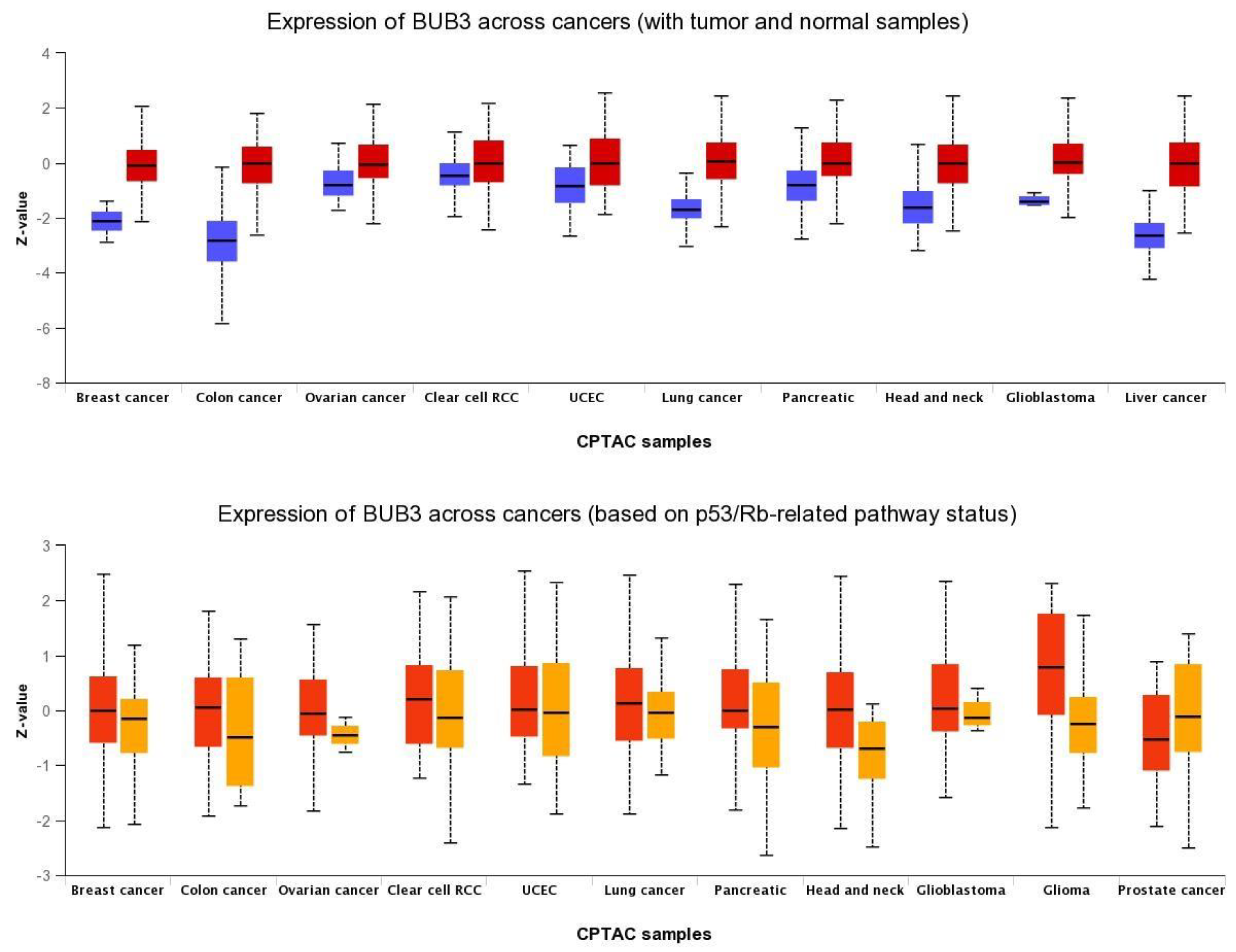BUB3, beyond the Simple Role of Partner