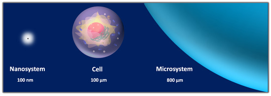 Micro/Nanosystems for Magnetic Targeted Delivery of Bioagents