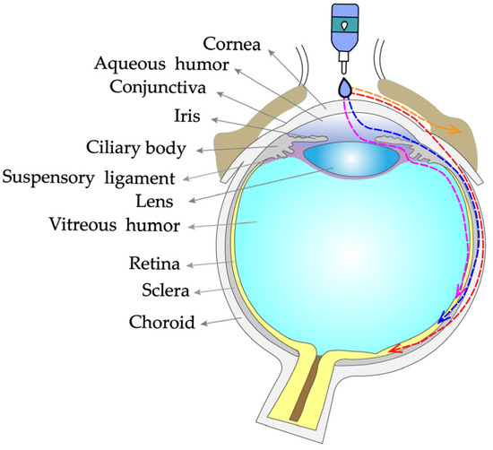 Novel Eye Drop Delivery Systems: Advance on Formulation Design ...