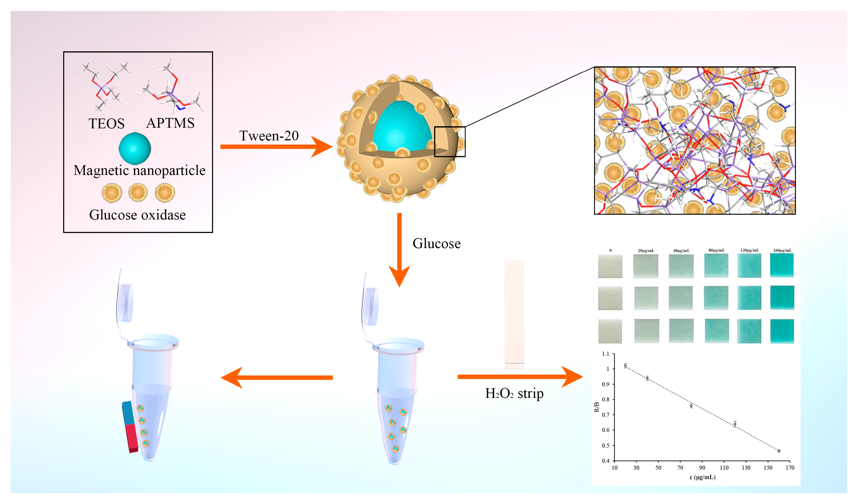 Enzyme Encapsulation by Facile Self-Assembly Silica-Modified Magnetic ...
