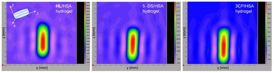 Pharmaceutics | Free Full-Text | The Release of a Highly Cytotoxic ...