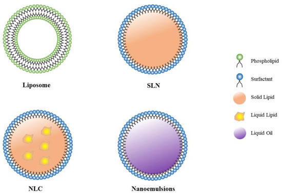 Inhaled siRNA Formulations for Respiratory Diseases: From Basic ...