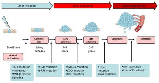 Promising Therapeutic Strategies for Colorectal Cancer Treatment Based ...