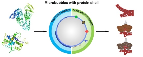 Pharmaceutics | Free Full-Text | Microbubbles Stabilized by Protein ...