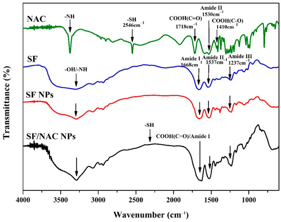Pharmaceutics | Free Full-Text | Antioxidative NAC-Loaded Silk ...