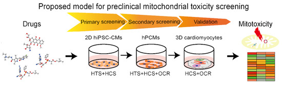 Pharmaceutics | Free Full-Text | Assessing Drug-Induced Mitochondrial ...