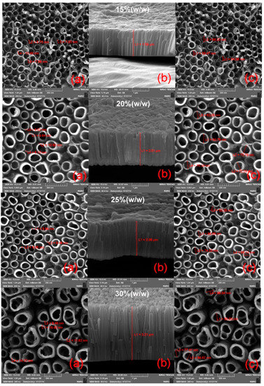 Pharmaceutics | Special Issue : Smart Drug Delivery Strategies Based on ...