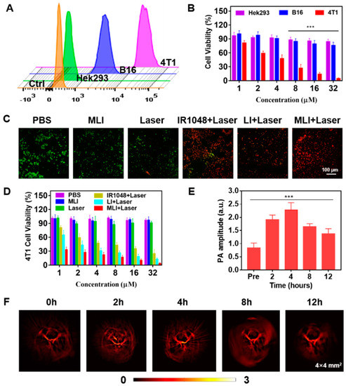 Breast Cancer Cell Membrane Camouflaged Lipid Nanoparticles for Tumor ...