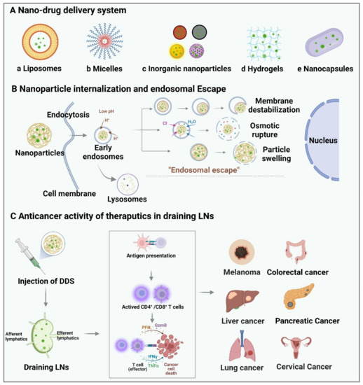 Nanomaterial-Based Drug Delivery System Targeting Lymph Nodes