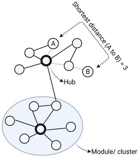 Pharmaceutics | Free Full-Text | Repurposing Drugs via Network Analysis ...