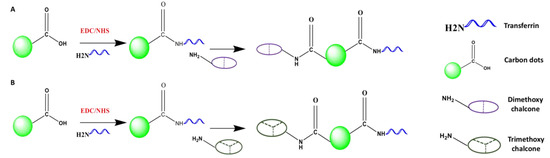 Pharmaceutics | Free Full-Text | Chalcones as Anti-Glioblastoma Stem ...
