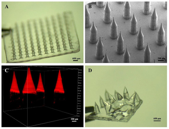 Pharmaceutics | Free Full-Text | Dual-Drug Loaded Separable ...