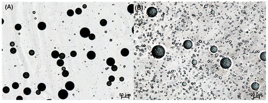 Preparation of PLGA Nanoparticles by Milling Spongelike PLGA Microspheres