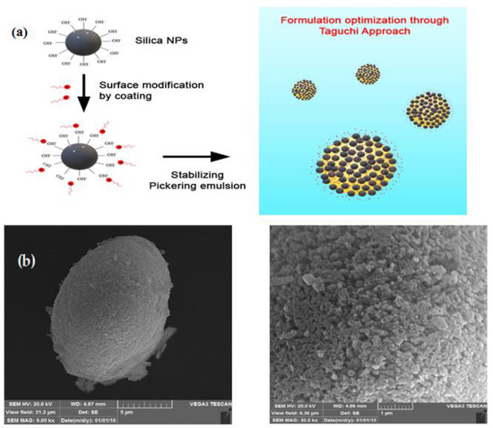 Preparation of Pickering Emulsions Stabilized by Modified Silica ...