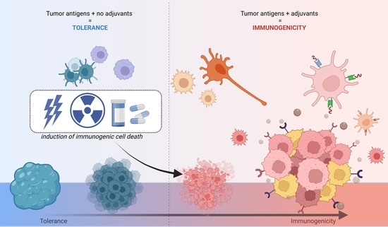 Pharmaceutics | Free Full-Text | An Overview on Immunogenic Cell Death in Cancer Biology and Therapy