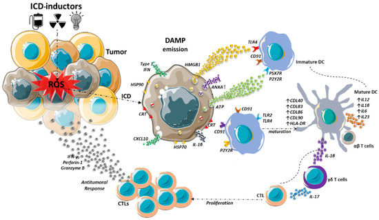 An Overview on Immunogenic Cell Death in Cancer Biology and Therapy
