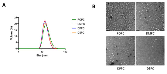 Effect of Lipid Composition on the Atheroprotective Properties of HDL ...