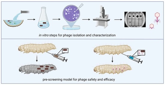 Pharmaceutics | An Open Access Journal from MDPI