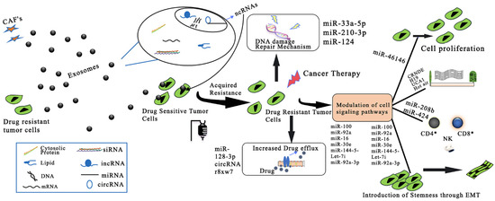 Encapsulation of miRNA and siRNA into Nanomaterials for Cancer Therapeutics