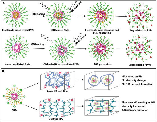 Progress in Polymeric Micelles for Drug Delivery Applications
