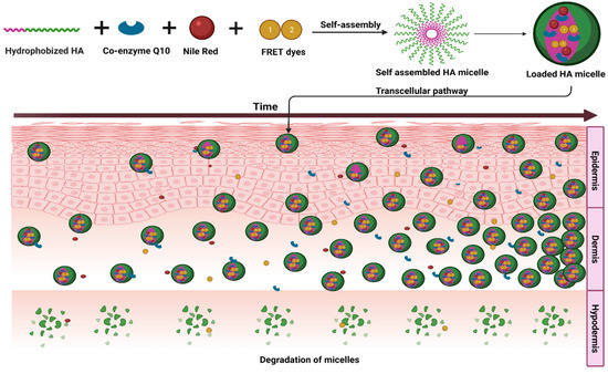 Progress in Polymeric Micelles for Drug Delivery Applications