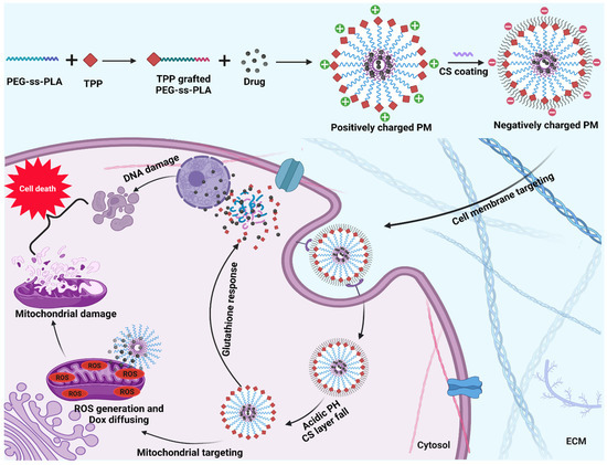 Progress in Polymeric Micelles for Drug Delivery Applications