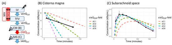 Pharmaceutics | Free Full-Text | Revisiting Cerebrospinal Fluid Flow ...