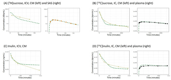 Pharmaceutics | Free Full-Text | Revisiting Cerebrospinal Fluid Flow ...