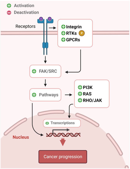 Role of Nrf2, STAT3, and Src as Molecular Targets for Cancer ...