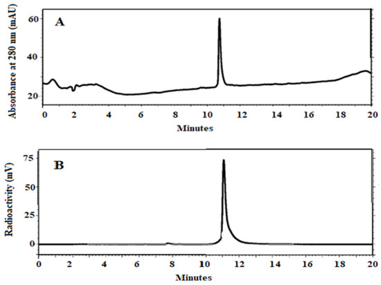 Evaluation of an Affibody-Based Binder for Imaging of Immune Check ...
