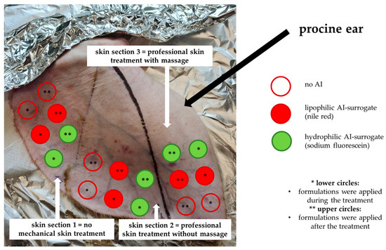 Influence of Mechanical Skin Treatments on Dermal Penetration Efficacy ...