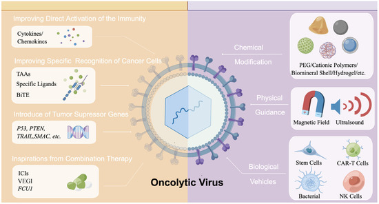Strategies for Advanced Oncolytic Virotherapy: Current Technology ...