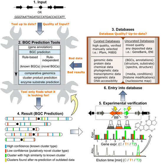 How to Completely Squeeze a Fungus—Advanced Genome Mining Tools for ...