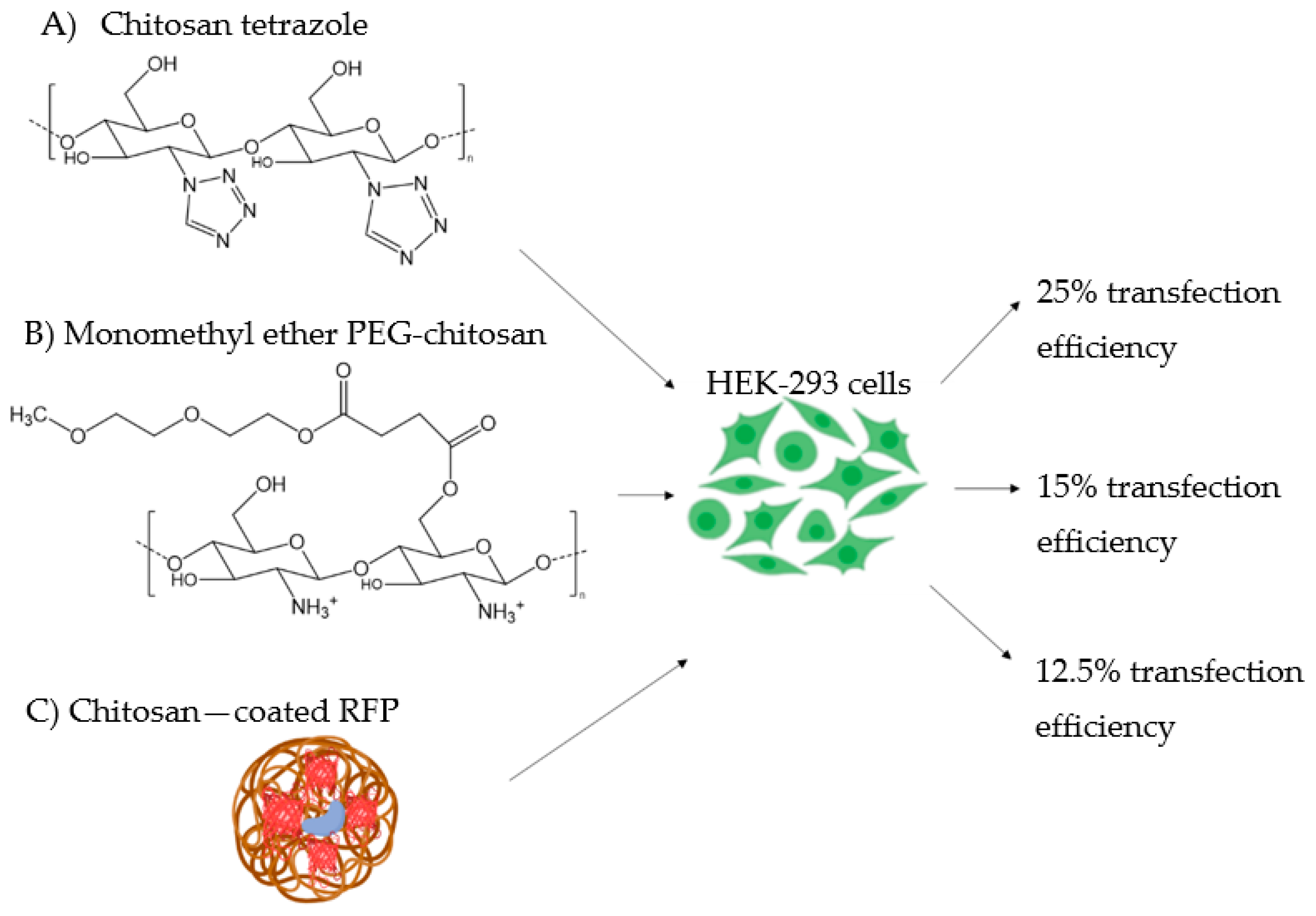 Advances in Chitosan-Based CRISPR/Cas9 Delivery Systems